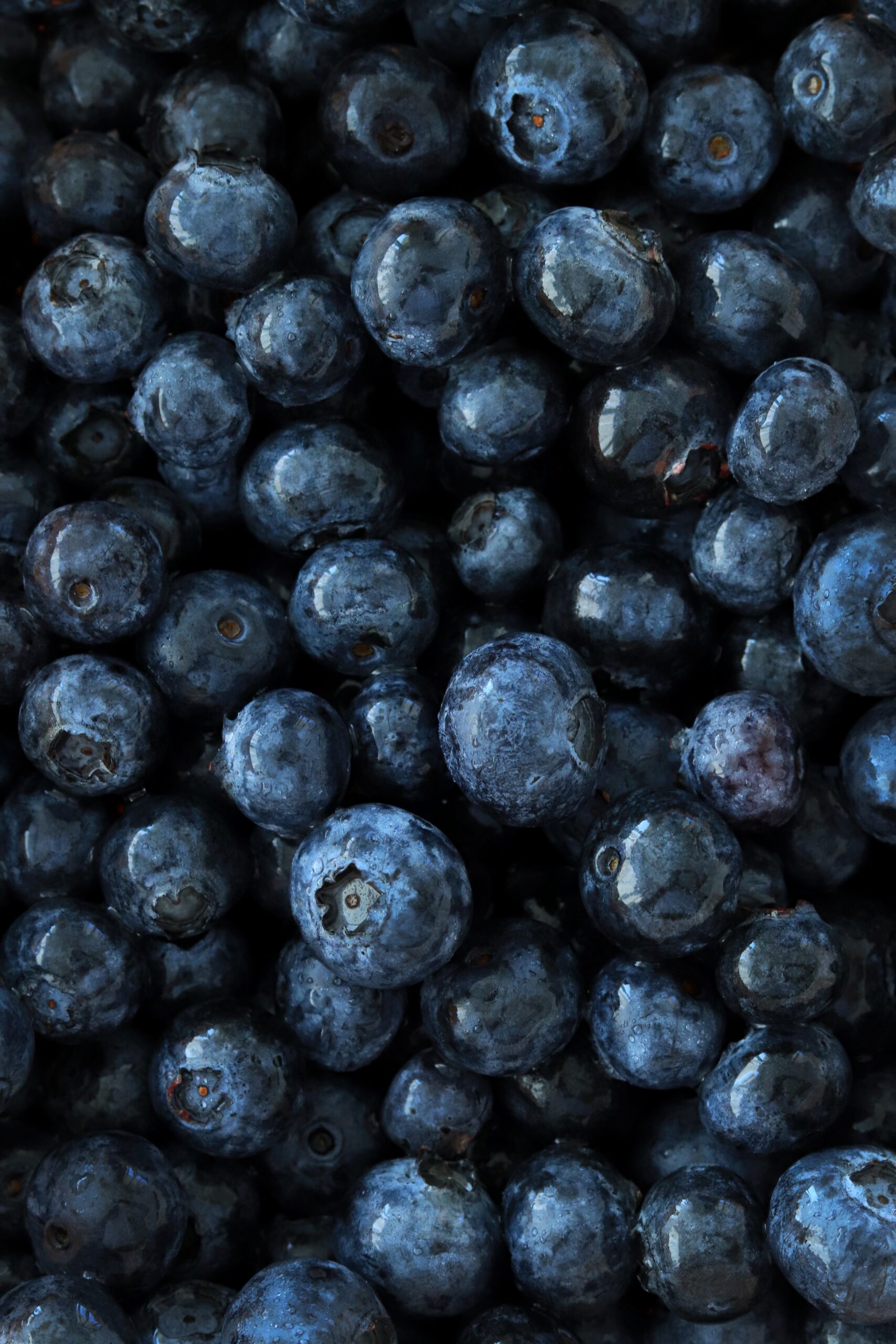 Balanced Eating and Snacking Handouts - Jen Belanger Nutrition